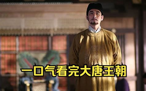 一口气看完大唐王朝历史 不加葱历史说 不加葱历史说 哔哩哔哩视频