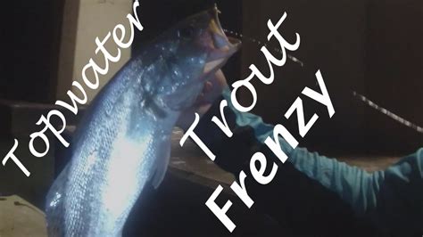 Insane Topwater Trout At Night Kayak Fishing Youtube