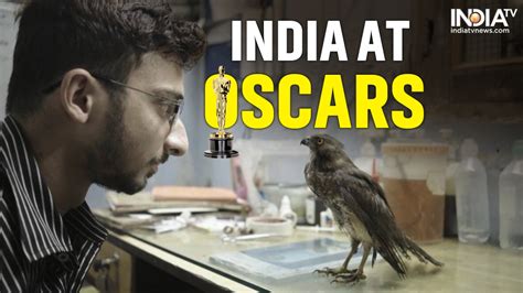 Oscars 2023 Nominations Shaunak Sens All That Breathes Shortlisted In