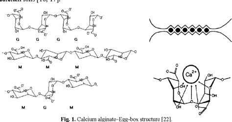 Figure 1 From Preparation Of Porous Calcium Alginate Beads And Their