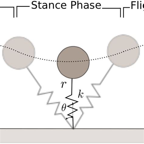 spring loaded inverted pendulum slip [7] α in the flight phase is