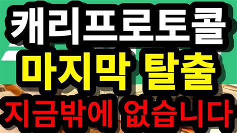 캐리프로토콜 코인 전망 마지막 호재 탈출 지금밖에 없습니다 Youtube