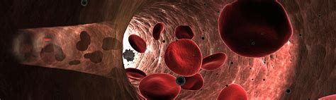 Cardiovascular And Thoracic Surgery Ngpg