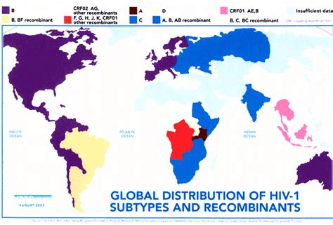 Figure D Global Distribution Of Hiv 1 Subtypes Download Scientific