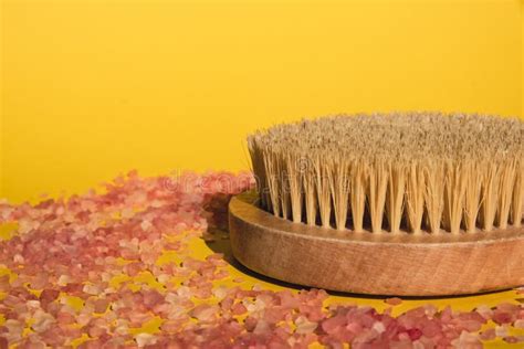 Dry Massage Brush With Natural Bristle Ecological Cosmetics Home Care