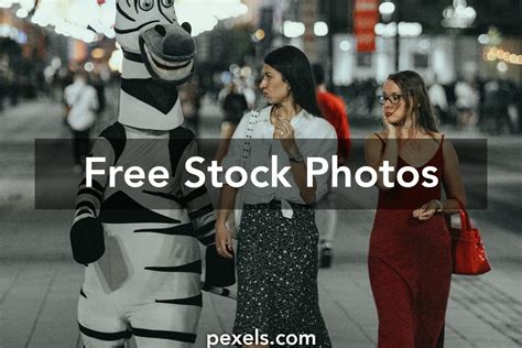 Zebra Animated Photos Download The Best Free Zebra Animated Stock