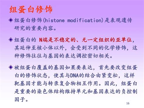 Ppt 肿瘤的表观遗传调控 Epigenetic Regulation Of Cancer Powerpoint