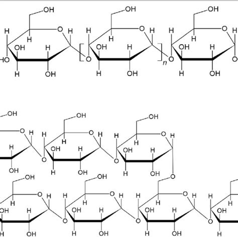 Polymers That Constitute Starch A Amylose B Amylopectin