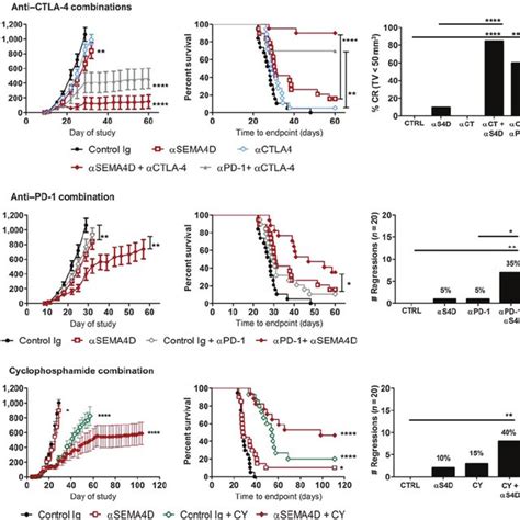 tumor regression and rechallenge summary complete tumor regression