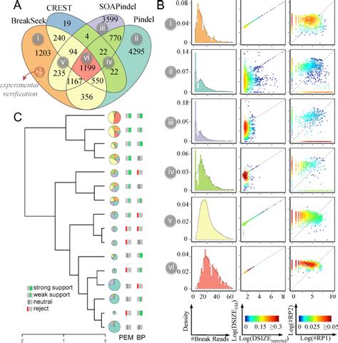 Summary Of Performance On Detection Of Large Deletions On The Nzygmn Download Scientific