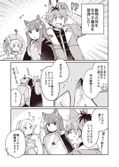 シュタフェルって言うんですか？ せた🎺 さんのマンガ ツイコミ仮