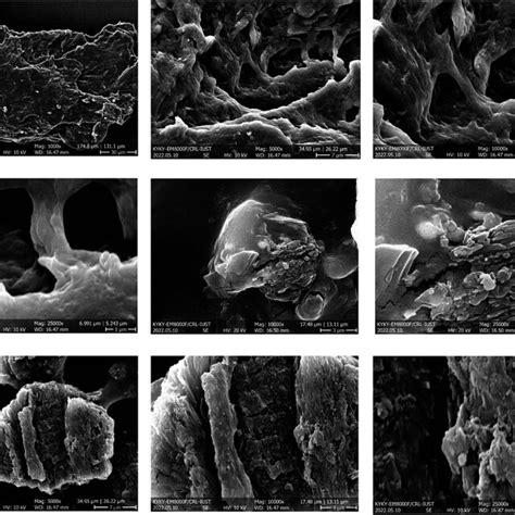 A Edx Spectrum Of The Pdmet Edta Cs Nanocatalyst 1 B Mapping Download Scientific