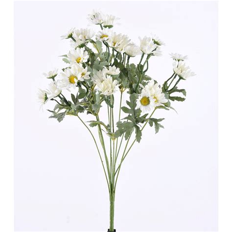 Margaritas 18 Fusion8