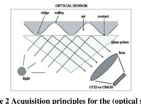 Figure 1 From Fingerprint Identification System Using Half Smoothing Filters Semantic Scholar
