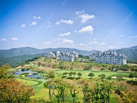 홍천비발디파크~성수기콘도특가 리프트세트권~렌탈대명콘도 여행숙박 이용권 중고나라