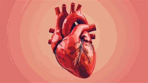 Detailed Vector Illustration Of Human Heart Anatomy Premium Ai