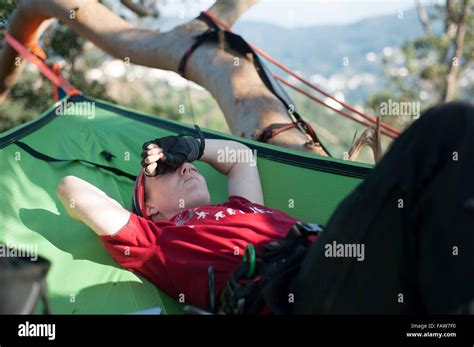 Tree Sleeping Platform Hi Res Stock Photography And Images Alamy