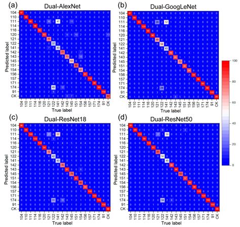 Identification Of Soybean Mutant Lines Based On Dual Branch Cnn Model Fusion Framework Utilizing