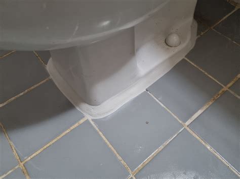 양변기 하부 백시멘트 시공 강원특별자치도 원주시 단구동 비즈프로필