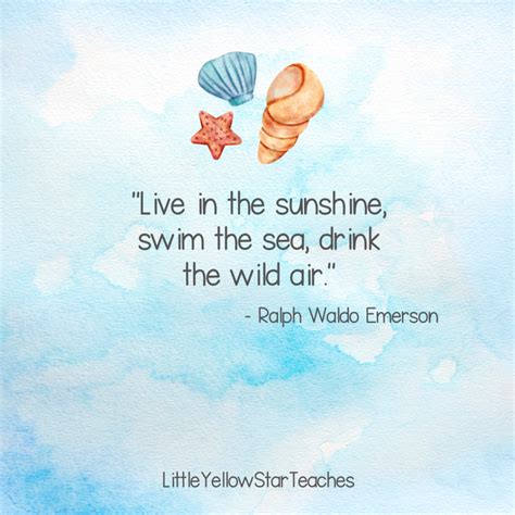 Silly Summer Quotes