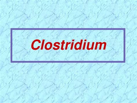PPT Clostridium Spores Survival Mechanism And Characteristics PowerPoint Presentation ID