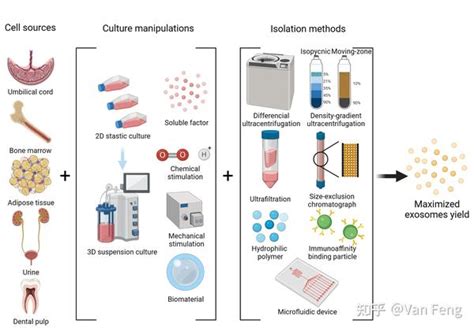 生物医学科研绘图经验分享——机制图绘制 知乎