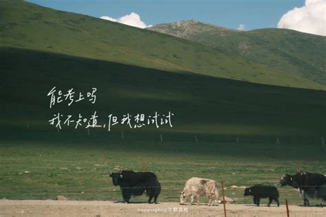 期末速成 青椰小屋