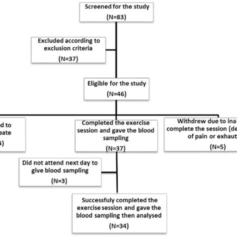 Participant Flowchart From Screening To Data Analysis Download