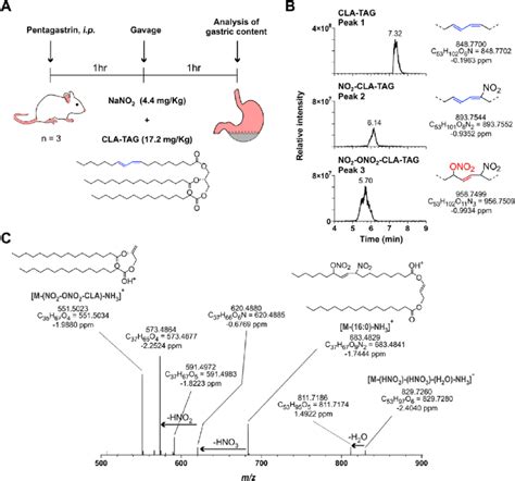Fatty Acid Nitro Nitrate Esters Are Formed In The Gastric Compartment Download Scientific