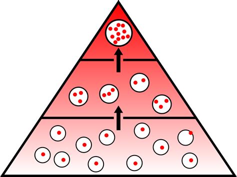 La Bioaccumulation La Bioamplification Et La Bioconcentration Alloprof