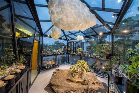 【彰化】田尾最新亮點！結合幾何建築與塊根植物的超美植物店～ 好想去喔