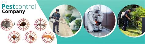 Jopestkil Africa Expert Fumigation And Pest Control Services