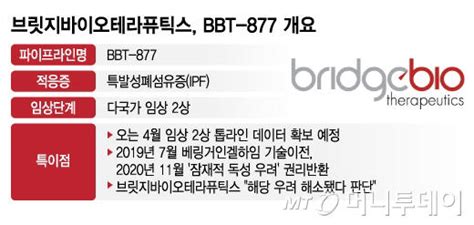 브릿지바이오 기술반환 폐섬유증 치료제 재조명안전성 우려 넘을까