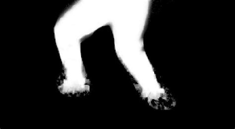 Flickering Problem Rnukevfx