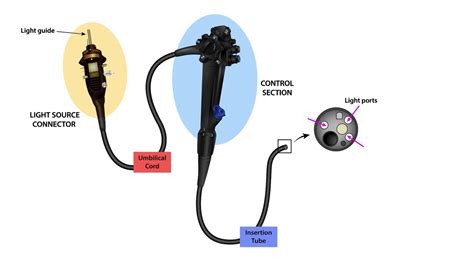 Endoscope Technology Theory Lesson 3 Endoscope Parts Youtube