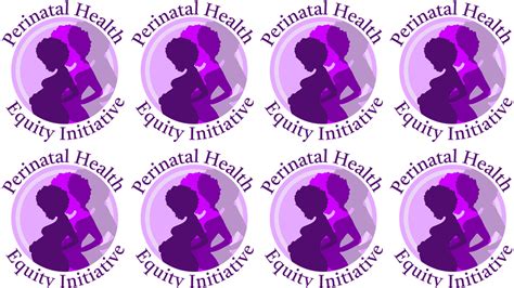Perinatal Health Equity Initiative National Institute For