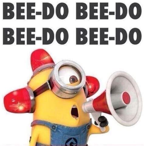 Minion Bee Do 
