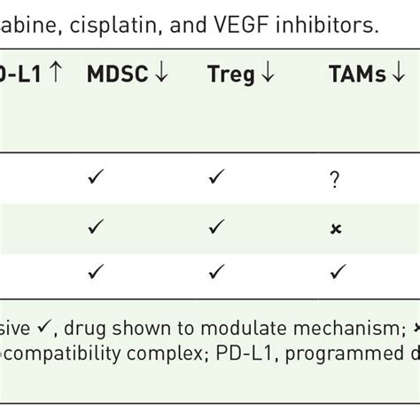 Immunomodulatory Effects Of Gemcitabine Cisplatin And Vegf Inhibitors