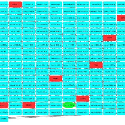 Evaluation Of The Hub Genes Roc Receiver Operating Characteristic