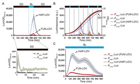 Hap Lov Provides Strong And Dynamic Control Of Target Gene Expression