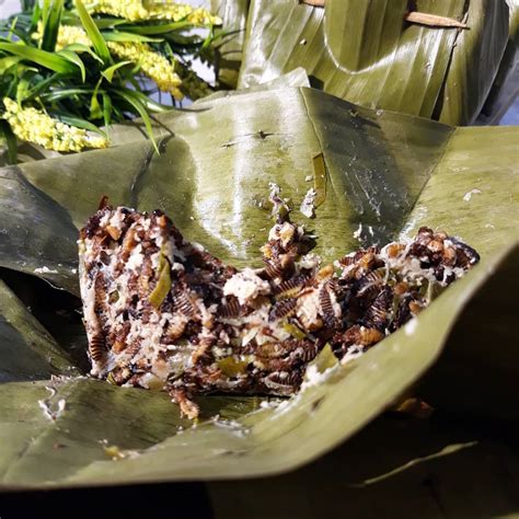 Ragam Olahan Laron Serangga Di Musim Hujan Tugumalangid