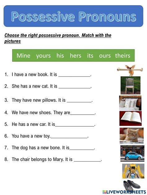 Worksheet For Possessive Pronouns