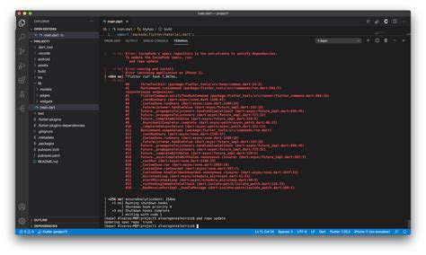 Error Running Pod Install Error Launching Application On Iphone 11