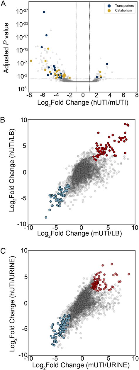 Differential Expression Analysis Reveals Infection Specific Gene Download Scientific Diagram