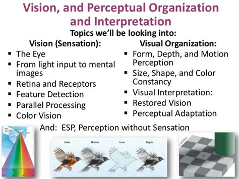 Psy 150 403 Chapter 6 Slides