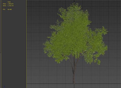 3d Honey Locust Model Turbosquid 1955884