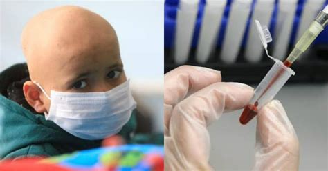 Scientists Find Immune Cell That Kills Most Cancers And Reverse The