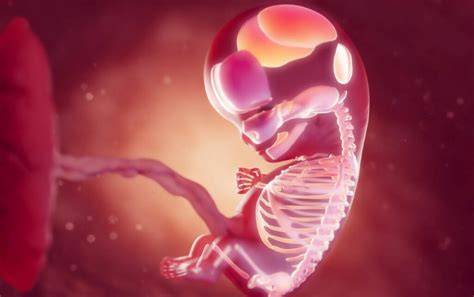 10 Ssw Anzeichen And Entwicklung Im Fokus And Angebote Aktualisiert