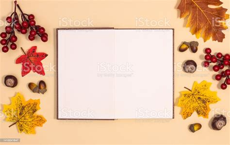 베이지 색 배경에 가을 장식으로 둘러싸인 오픈 카피 공간 책 플랫 레이 10월에 대한 스톡 사진 및 기타 이미지 10월