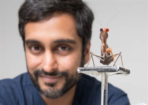 The Entomologist NUSTEM